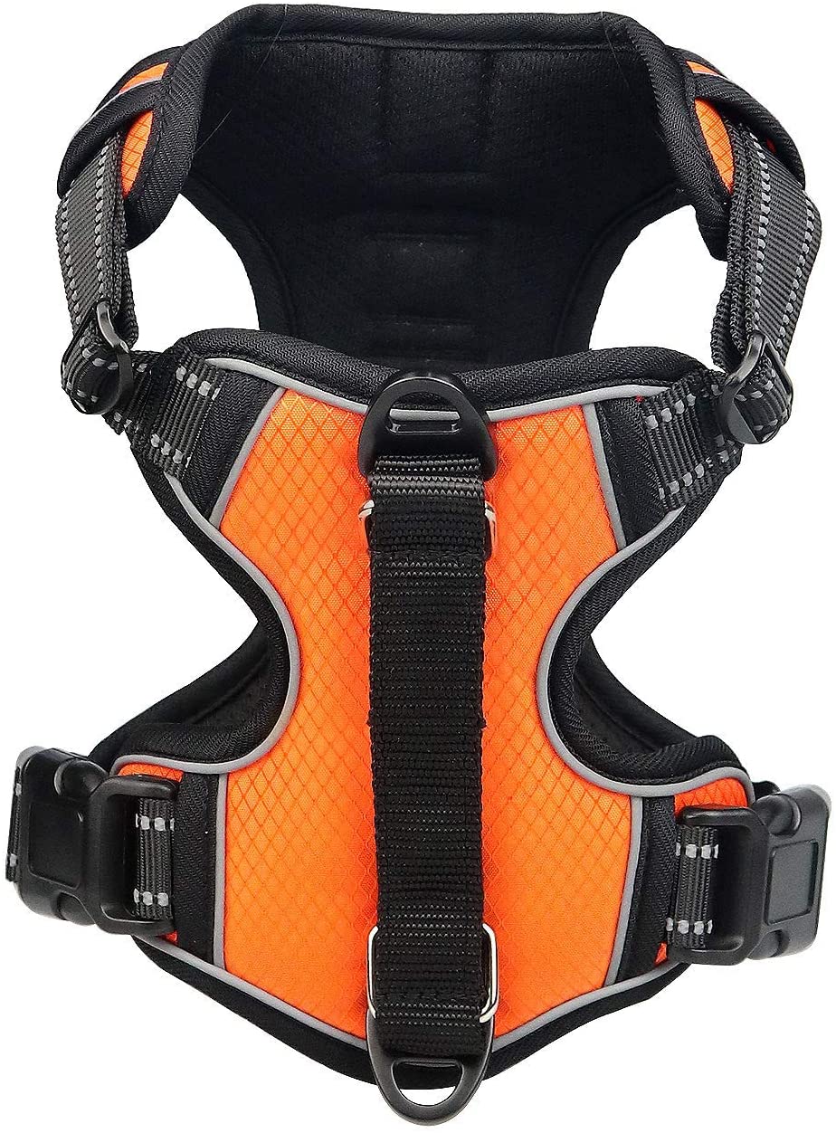 🥇【 Arnés para perro, la mejor selección de 2020